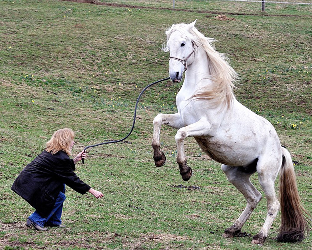 Galerie photos et vidéos - chanteuse Country Music - Yanne Matis